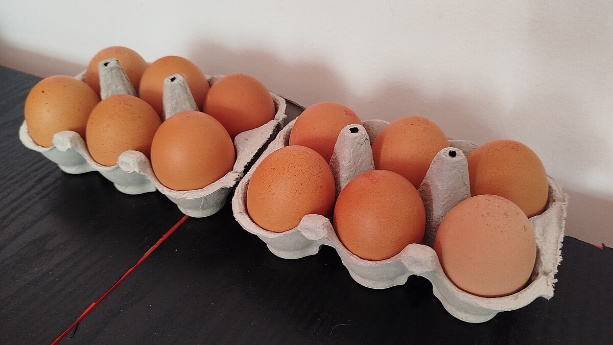 Cracking! The Lib Dem Dozen: The New Official Opposition in Kent ...